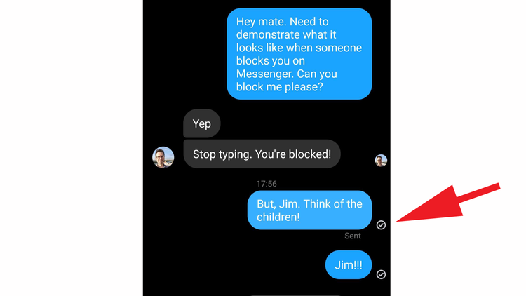 How To See If Im Blocked On Msn Doorelement