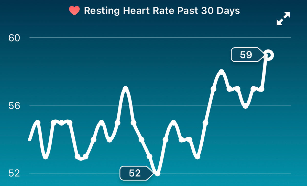 Fitbit Pulse Rate Shopperji